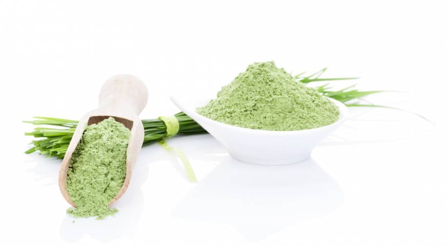 Pluhuri i barit të grurit, çudibërës për flokët - KOHA.net