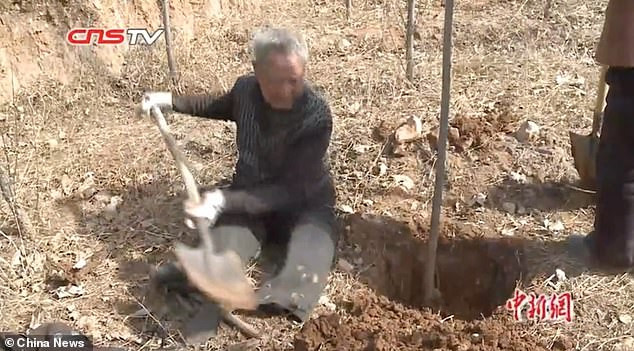 The 70-year-old legless veteran plants 17 trees in 19 years - KOHA.net