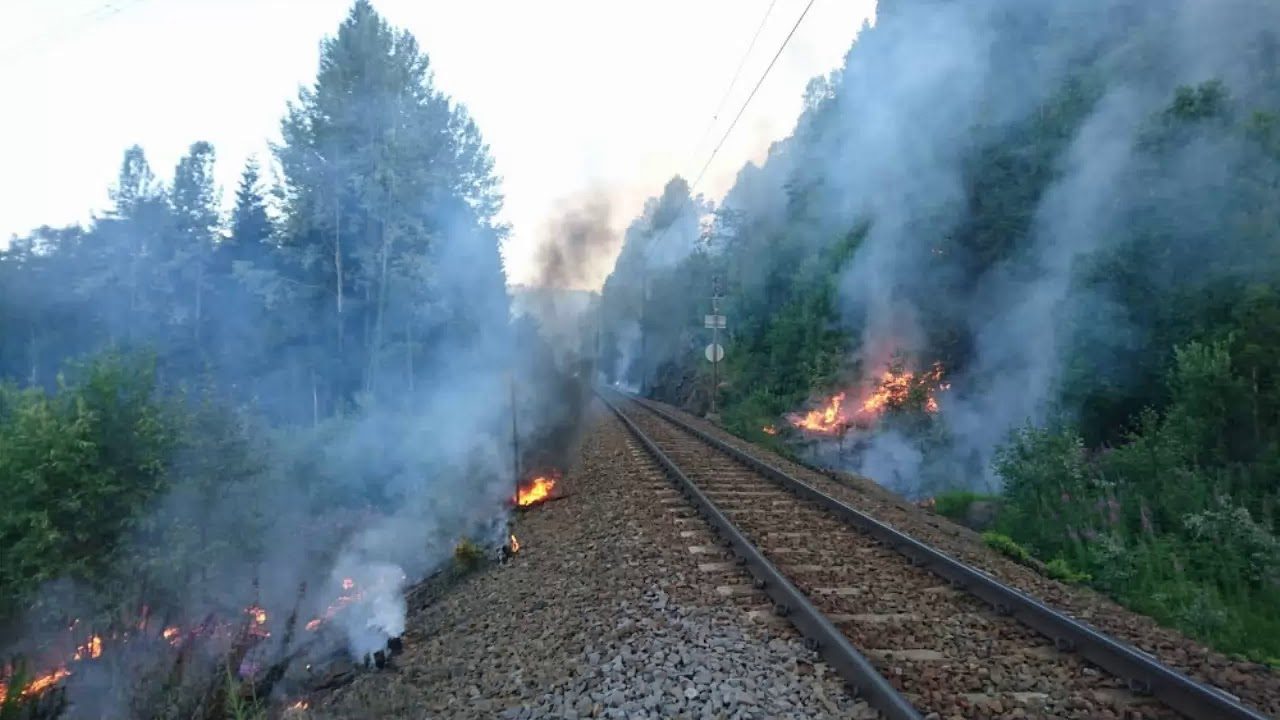 Fires destroy the forests of Norway - KOHA.net