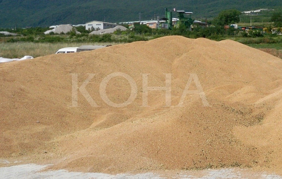 Farmers complain about the delay in subsidies, the Ministry of Agriculture provides details ...