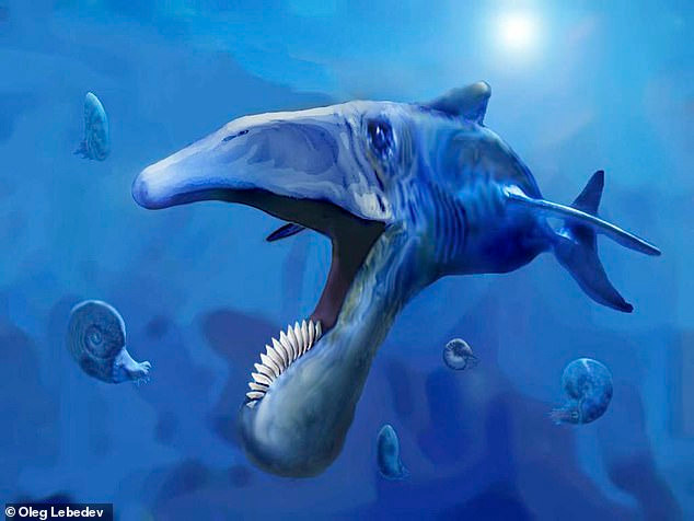 The fossil of a prehistoric giant fish with teeth like a chainsaw is ...