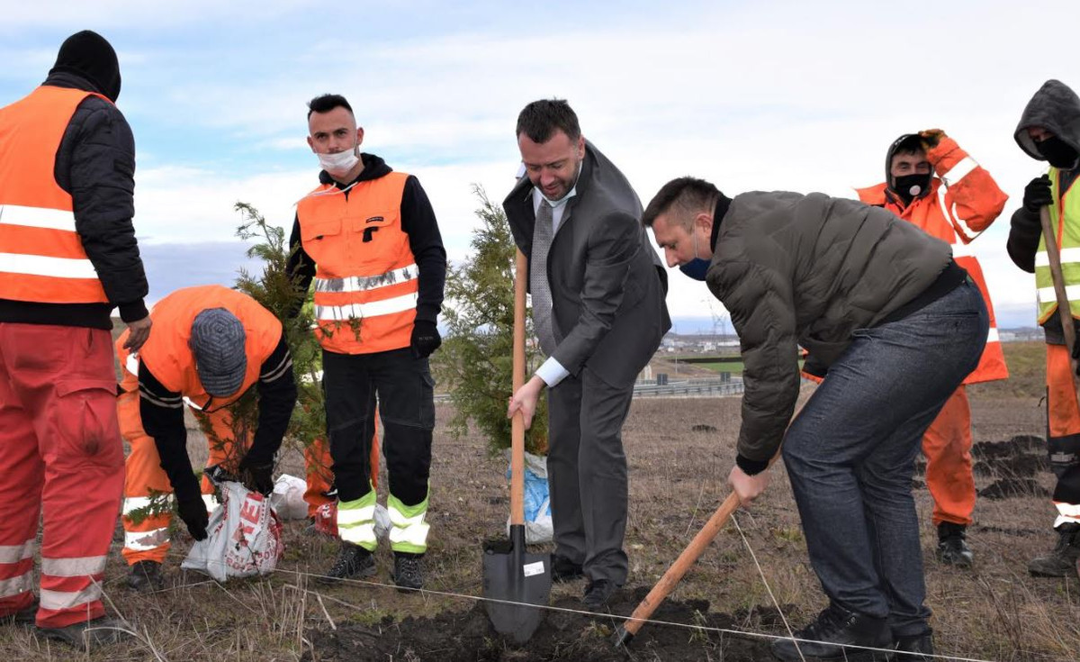 Mbillen 150 drurë në kryqëzimin e auto-udhëve “Ibrahim Rugova” dhe ...