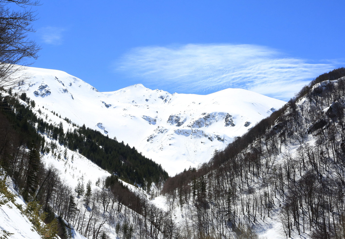 „Cottagecore“ und die Geburt der zeitgenössischen ländlichen Fantasy – KOHA.net