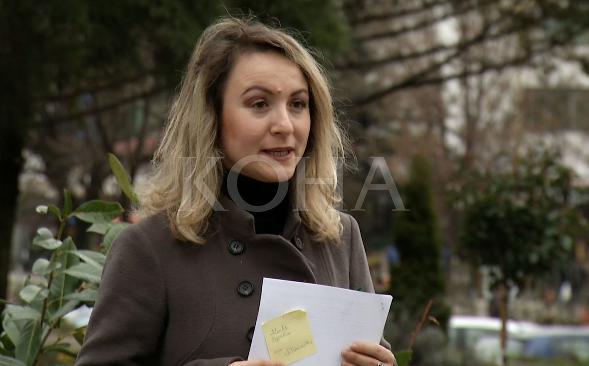 The People's Advocate finds that the MFA discriminated against Alketa ...