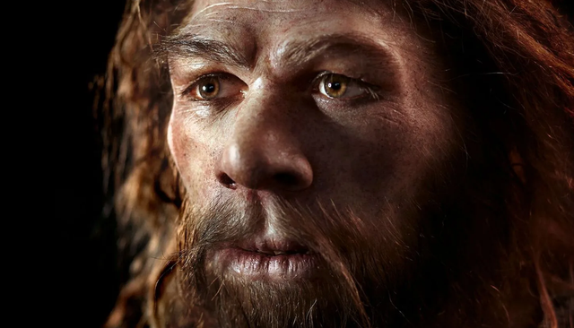 The war between Neanderthals and modern humans that left our species on ...