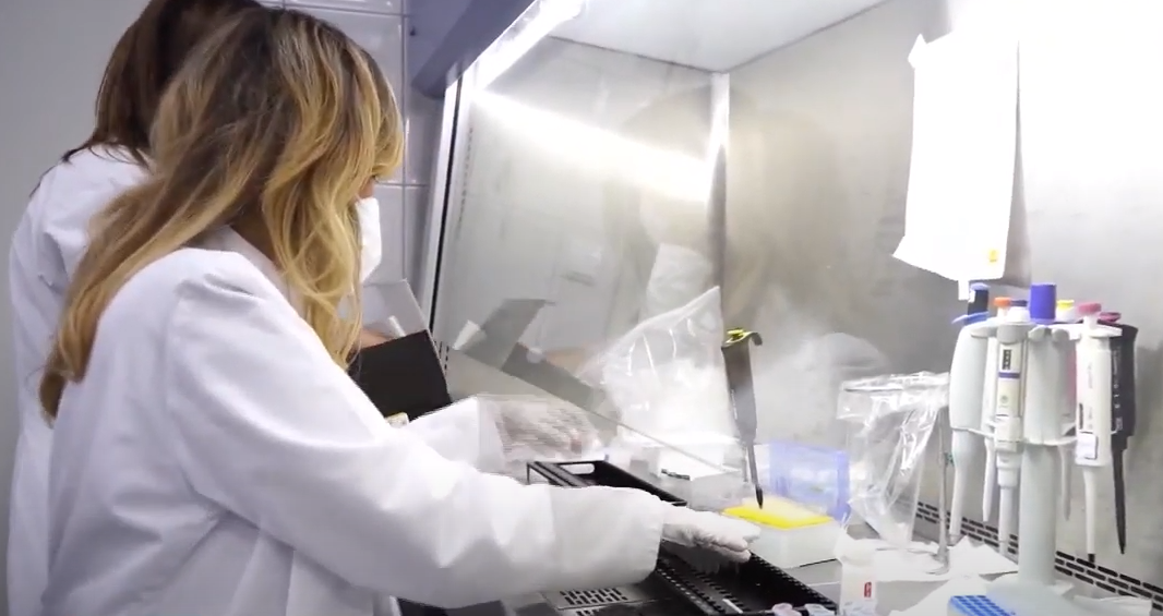 Rapid tests accurate in positive results, PCR is preferred for negative ...