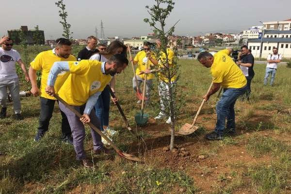 Java Olimpike vijon me mbjelljen e drunjve në Prishtinë - KOHA.net