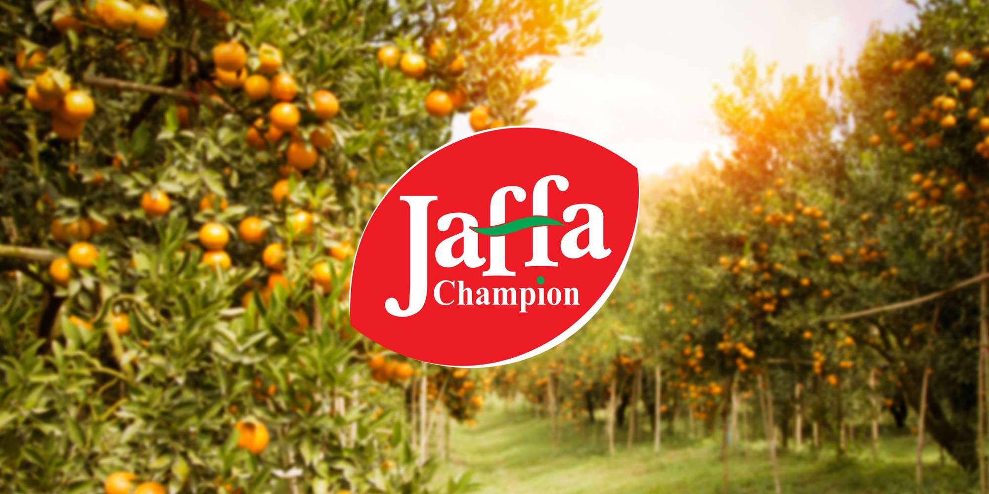 Fruta shumë dhe lumturi pafund me Jaffa Champion! - KOHA.net