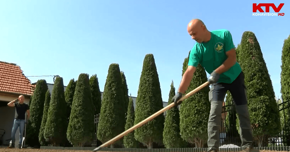 Pisha Arizona, bima më e preferuar për kopshtet shtëpiake - KOHA.net