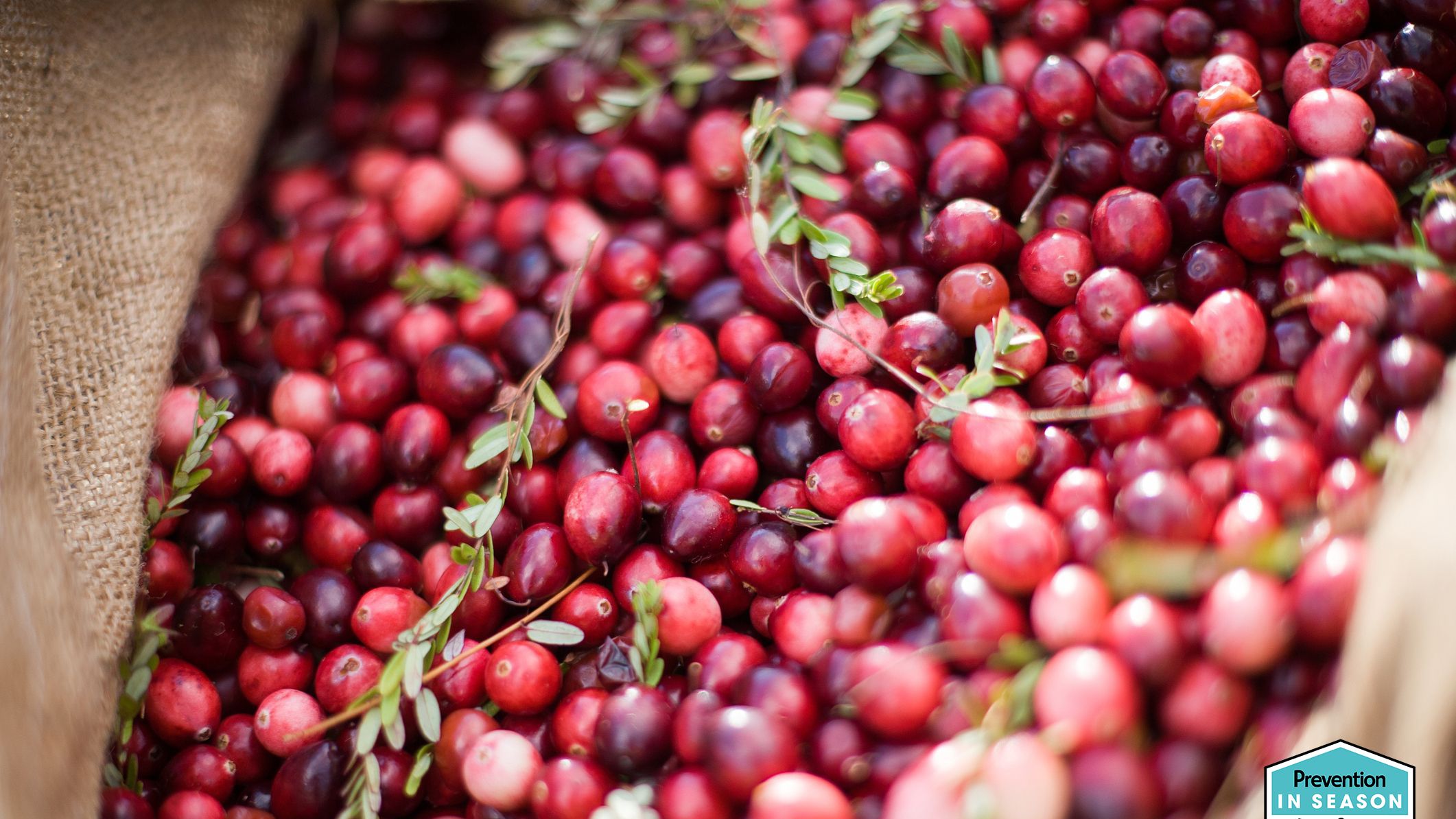 Përfitimet shëndetësore nga boronica e kuqe - KOHA.net