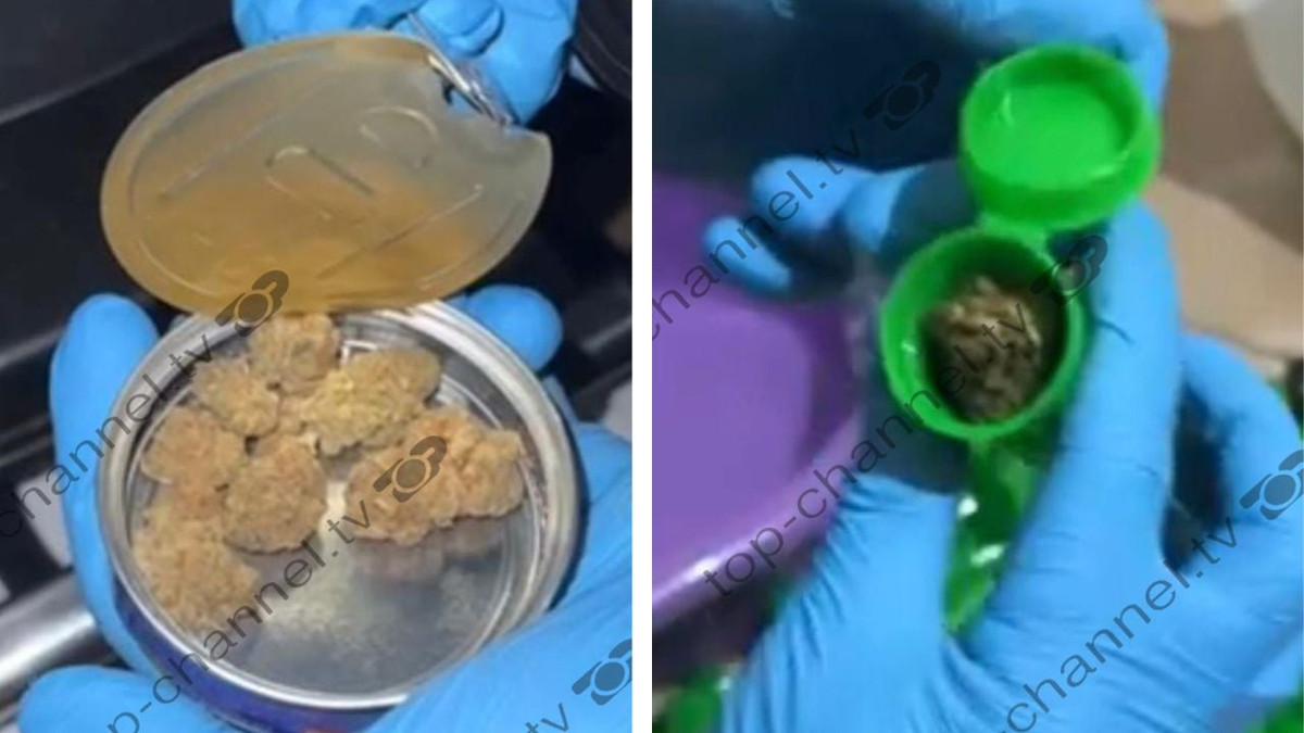 Mega operation in Albania, drugs came from Canada hidden in canned fish ...