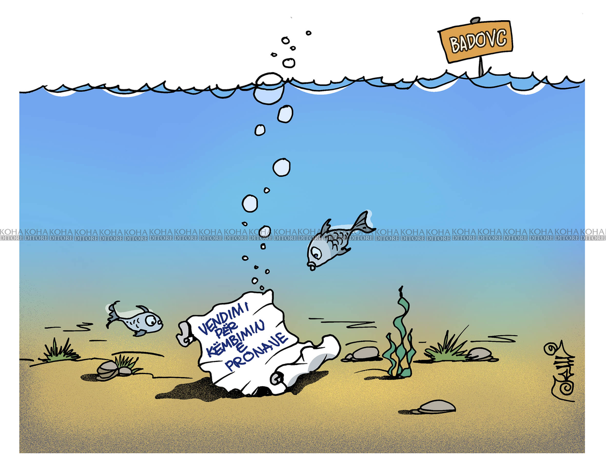 Karikatura e ditës - KOHA.net