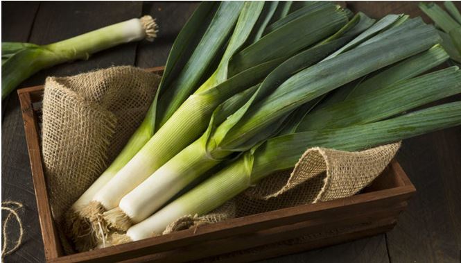 Dobitë shëndetësore të preshit - KOHA.net