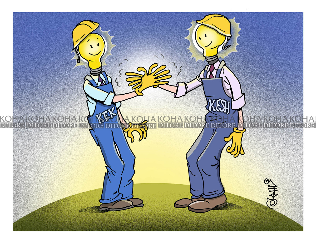 Karikatura e ditës - KOHA.net