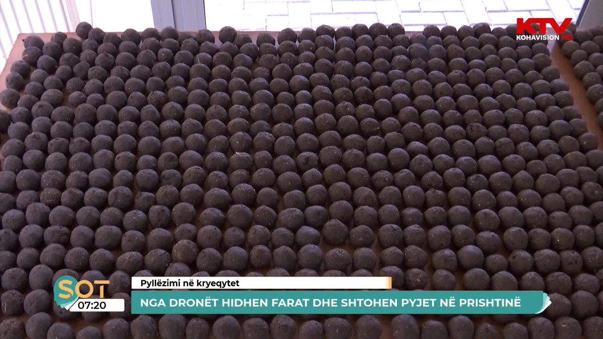 Nga dronët hidhen farat dhe shtohen pyjet në Prishtinë - KOHA.net