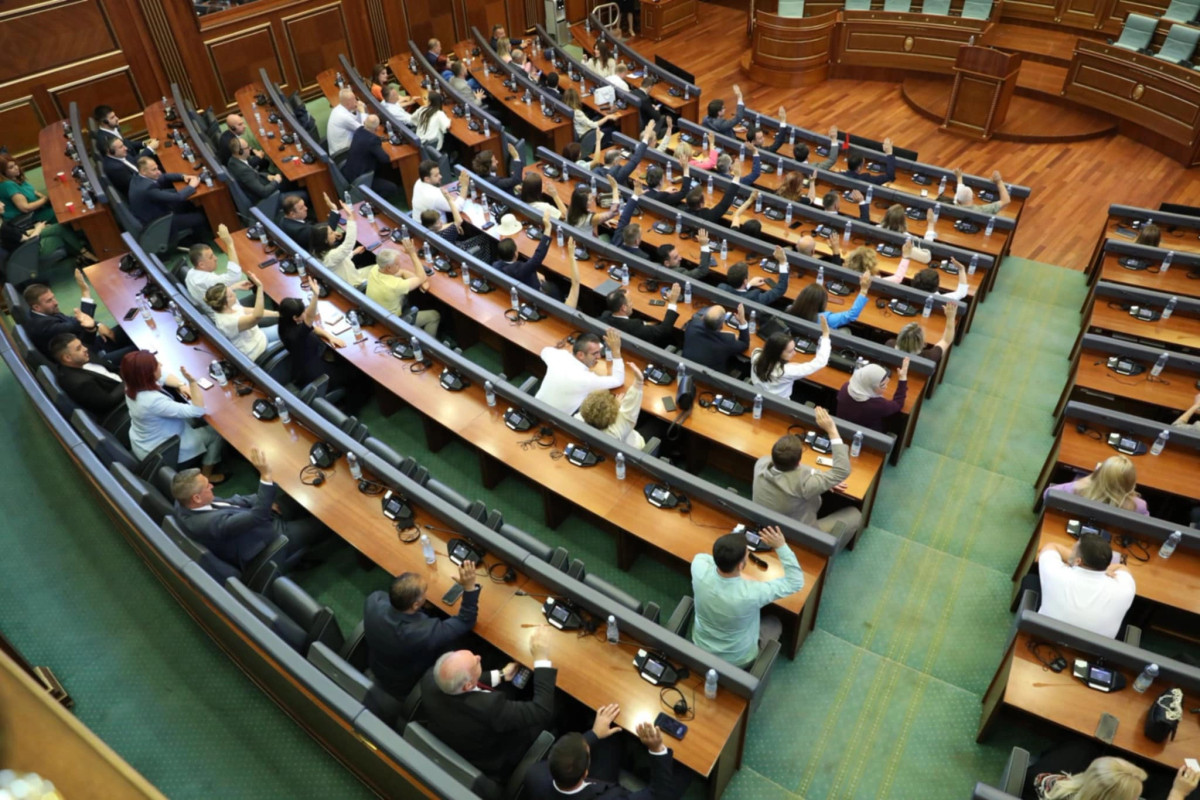 MPs expect the Constitutional Court to clarify whether the Assembly can ...