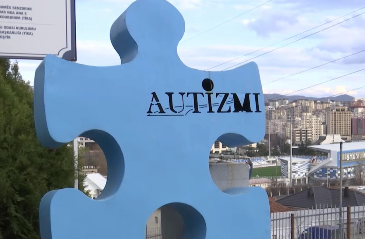 Autistic adults, without shelter and without institutional treatment ...