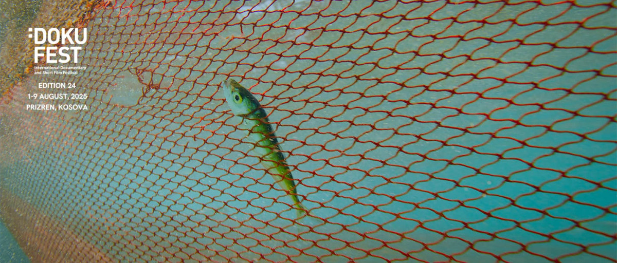 "DokuFest" invincible with 99 competing films in a turbulent world - KOHA.net