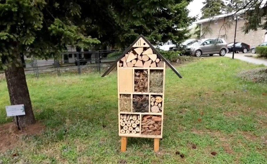 “Hotele” për insekte në Universitetin e Prizrenit, synohet rritja e ...