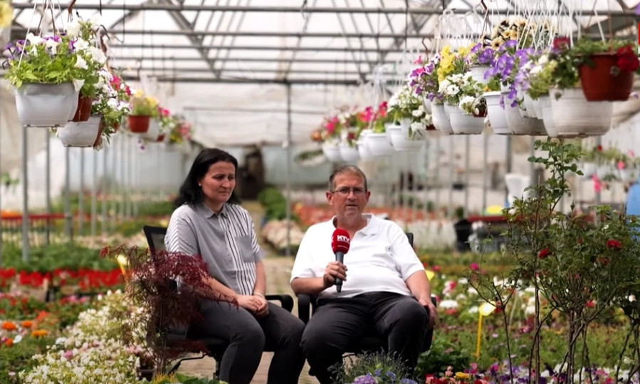 Çifti prizrenas që kultivon lule sezonale - KOHA.net