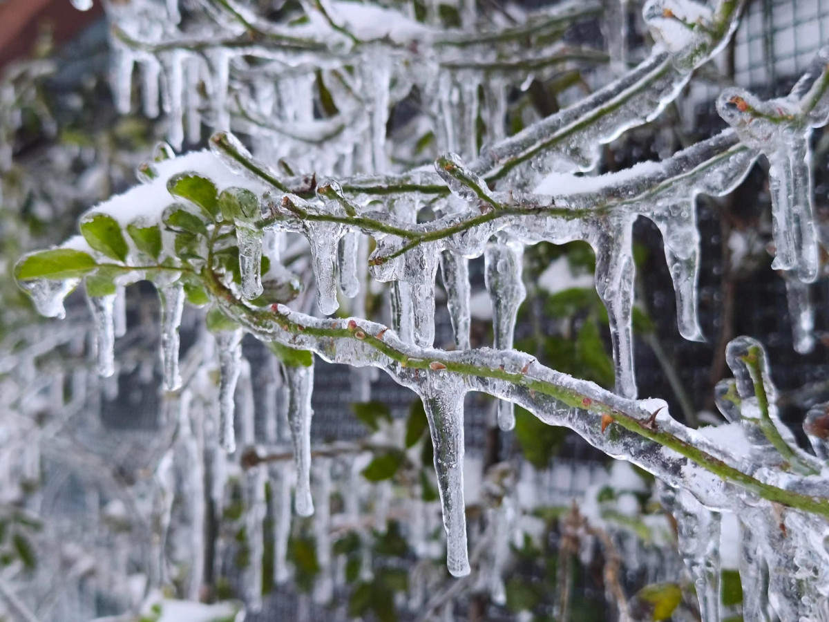 Weather today cloudy with sunny intervals, minimum temperatures up to ...
