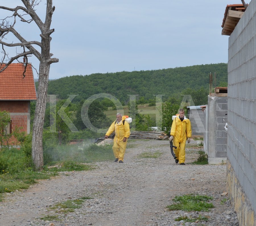 Javën e ardhshme fillon dezinsektimi kundër rriqrave në Malishevë ...