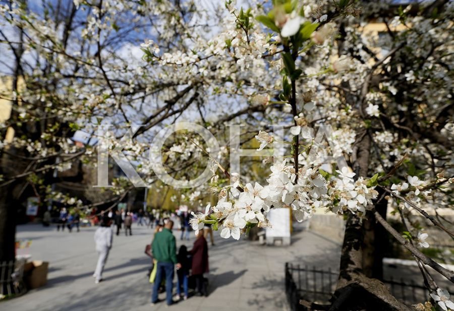 Nesër në orën 17 e 11 minuta arrin pranvera - KOHA.net